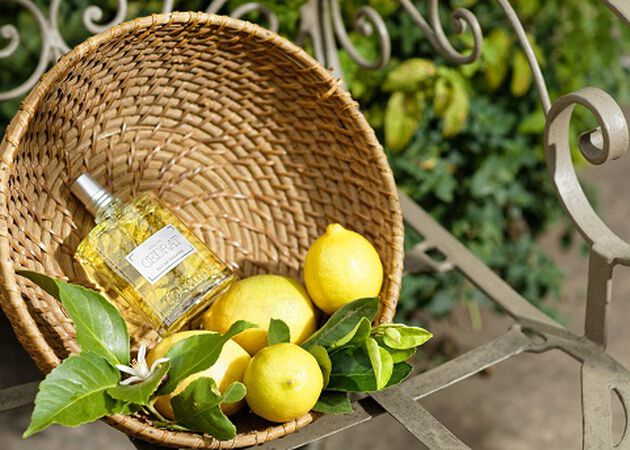 Ingrediente - Cédrat, sus usos y beneficios